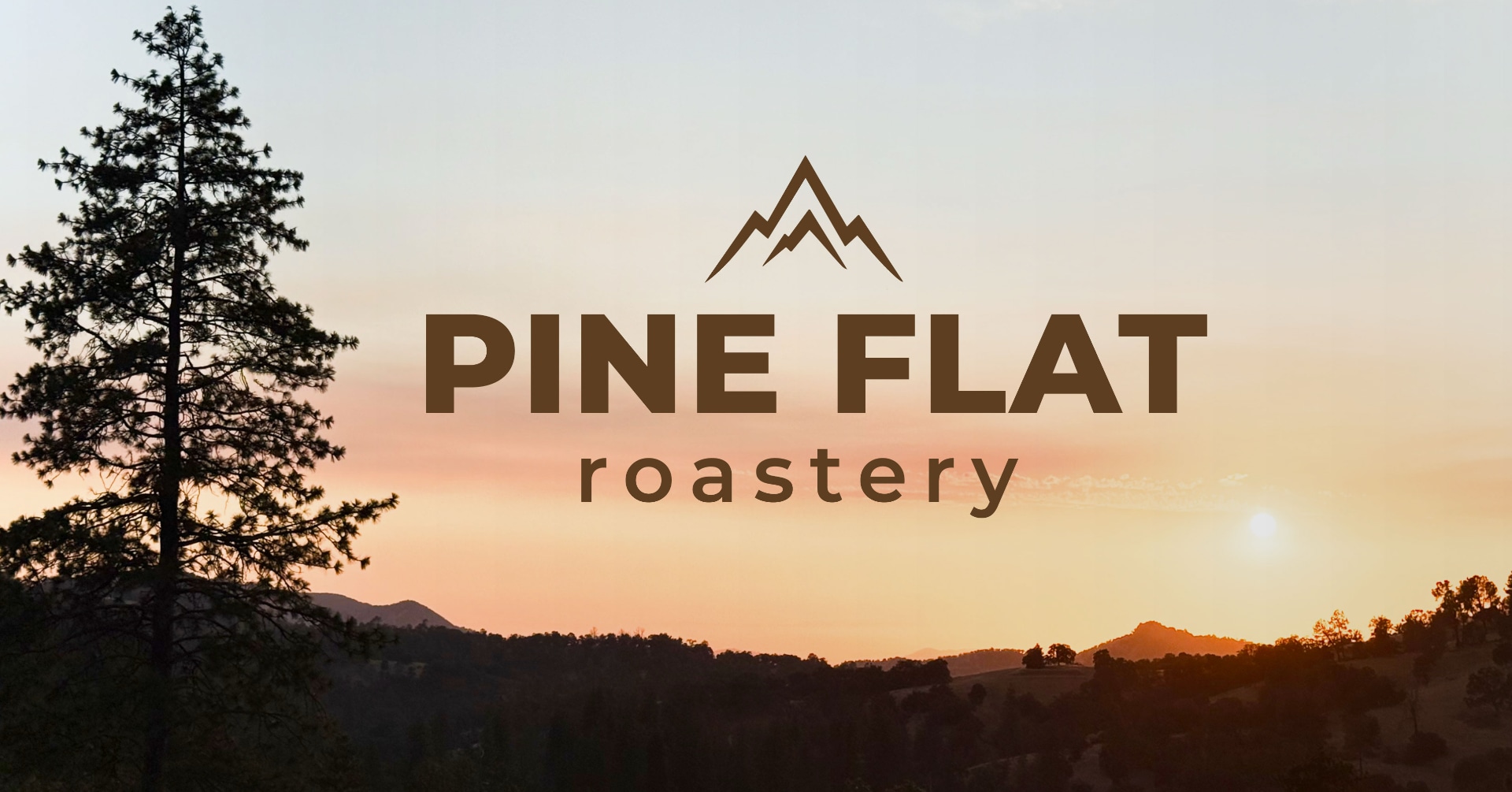 Pine Flat Roastery | Specialty Coffee at 4,000 feet in California